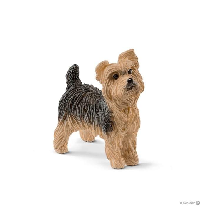 Catel Schleich Yorkshire Terrier | Hippoland
